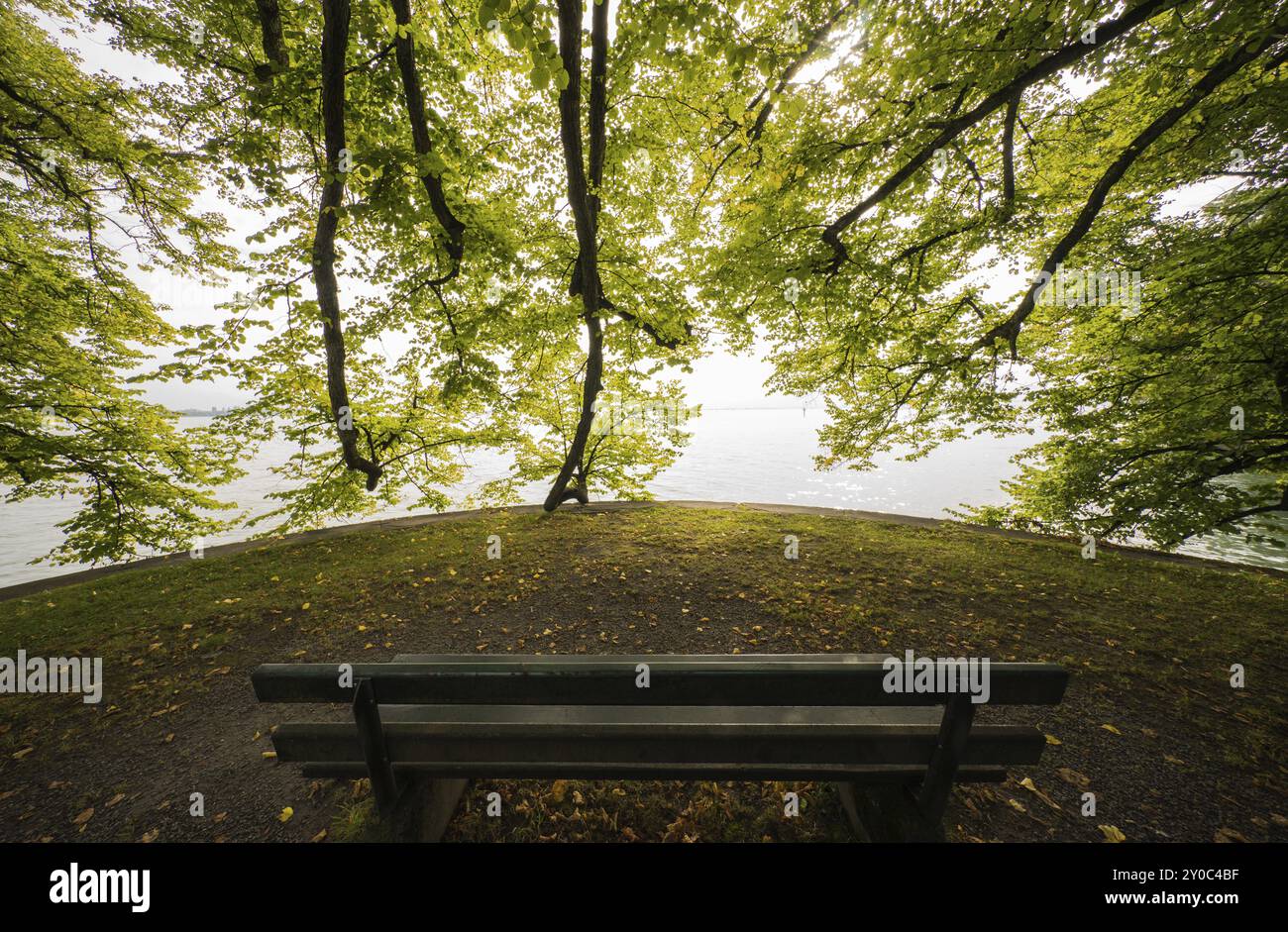 Oasis of peace Stock Photo - Alamy