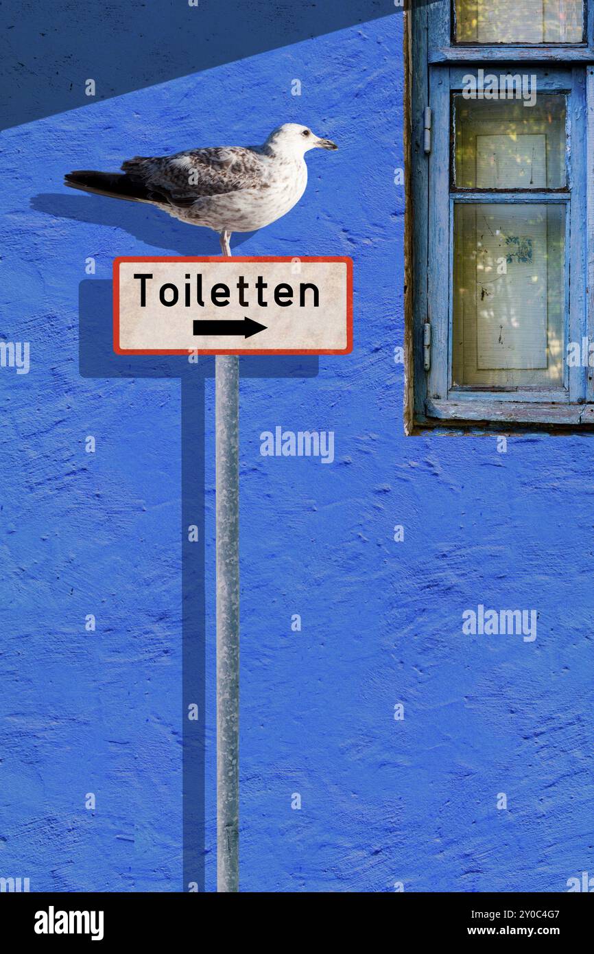 No seagulls sign hi-res stock photography and images - Alamy