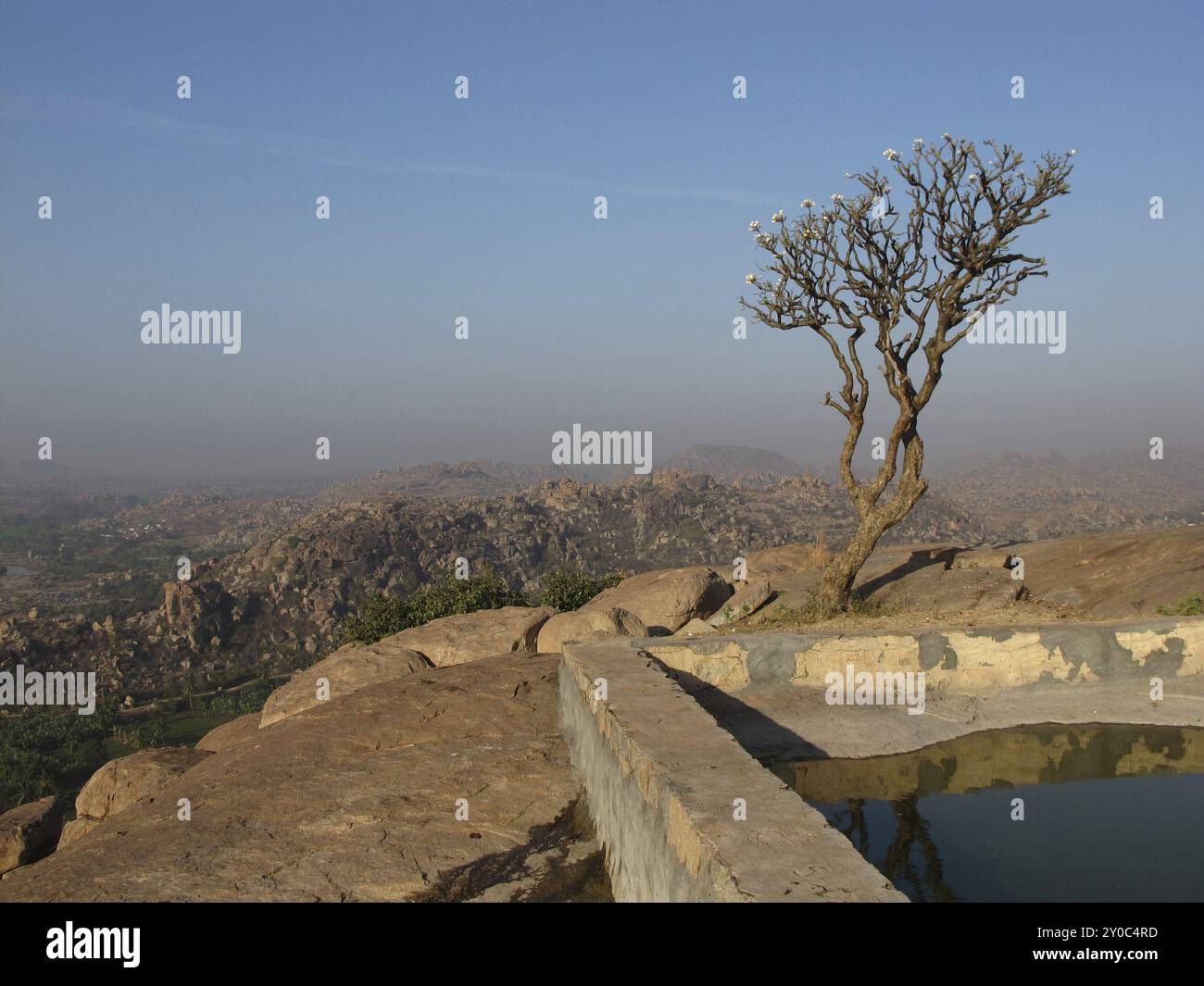 Washing place on a mountain top in Karnataka, India. Fansypansy tree ...