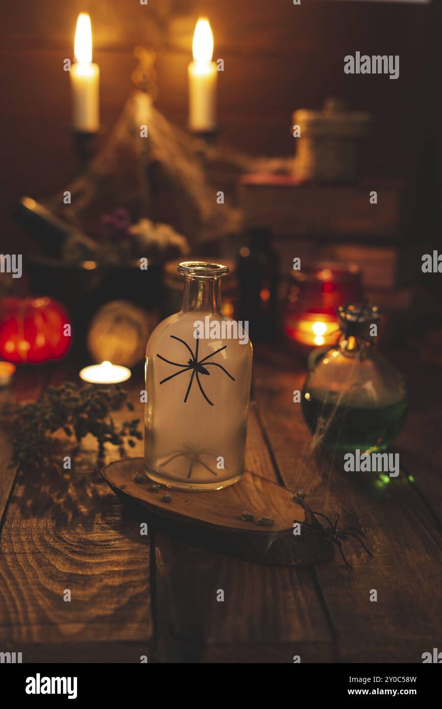 Halloween holiday concept witch lab with ingredients for potions Stock ...