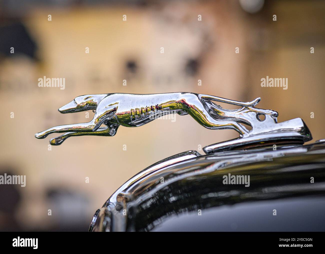 Classic car at the LeMay Car Show Stock Photo - Alamy