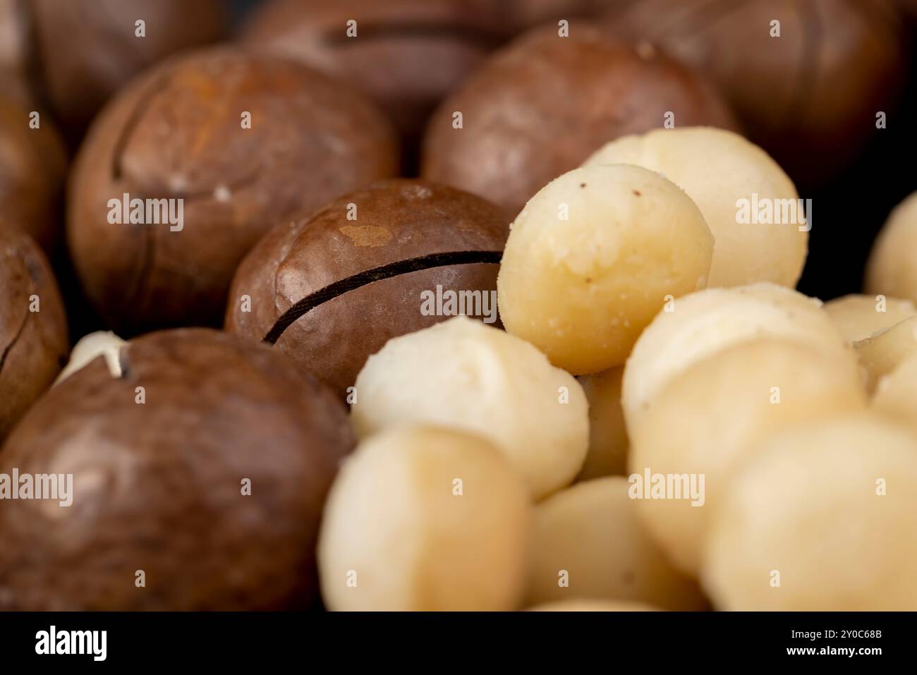 Peeled macadamia nuts on the table, crispy dried macadamia nuts peeled ...