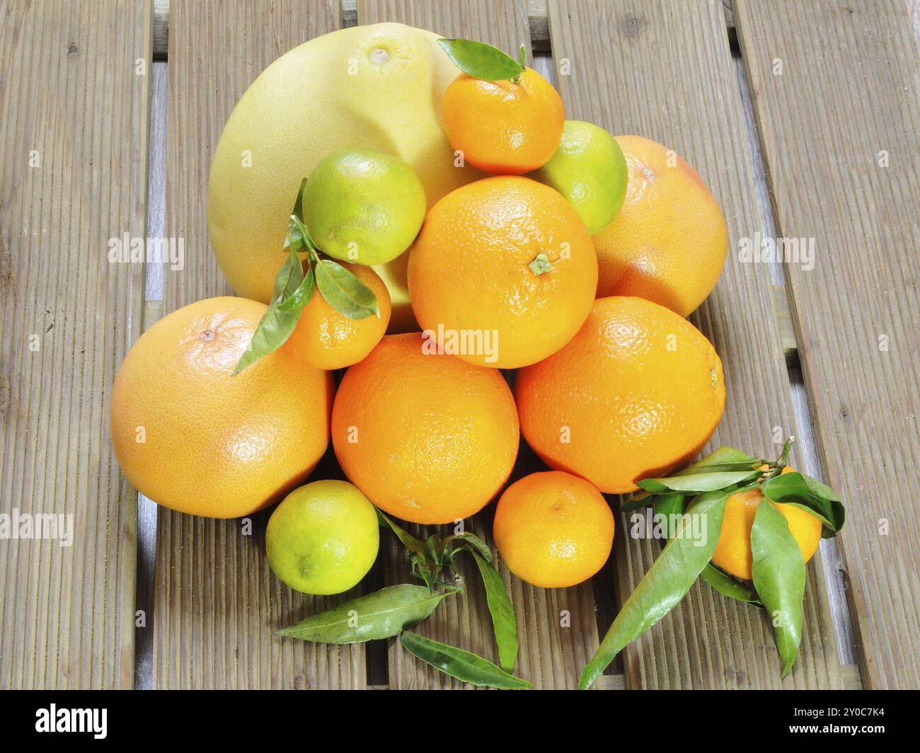 Citrus paradisi x citrus maxima hi-res stock photography and images - Alamy