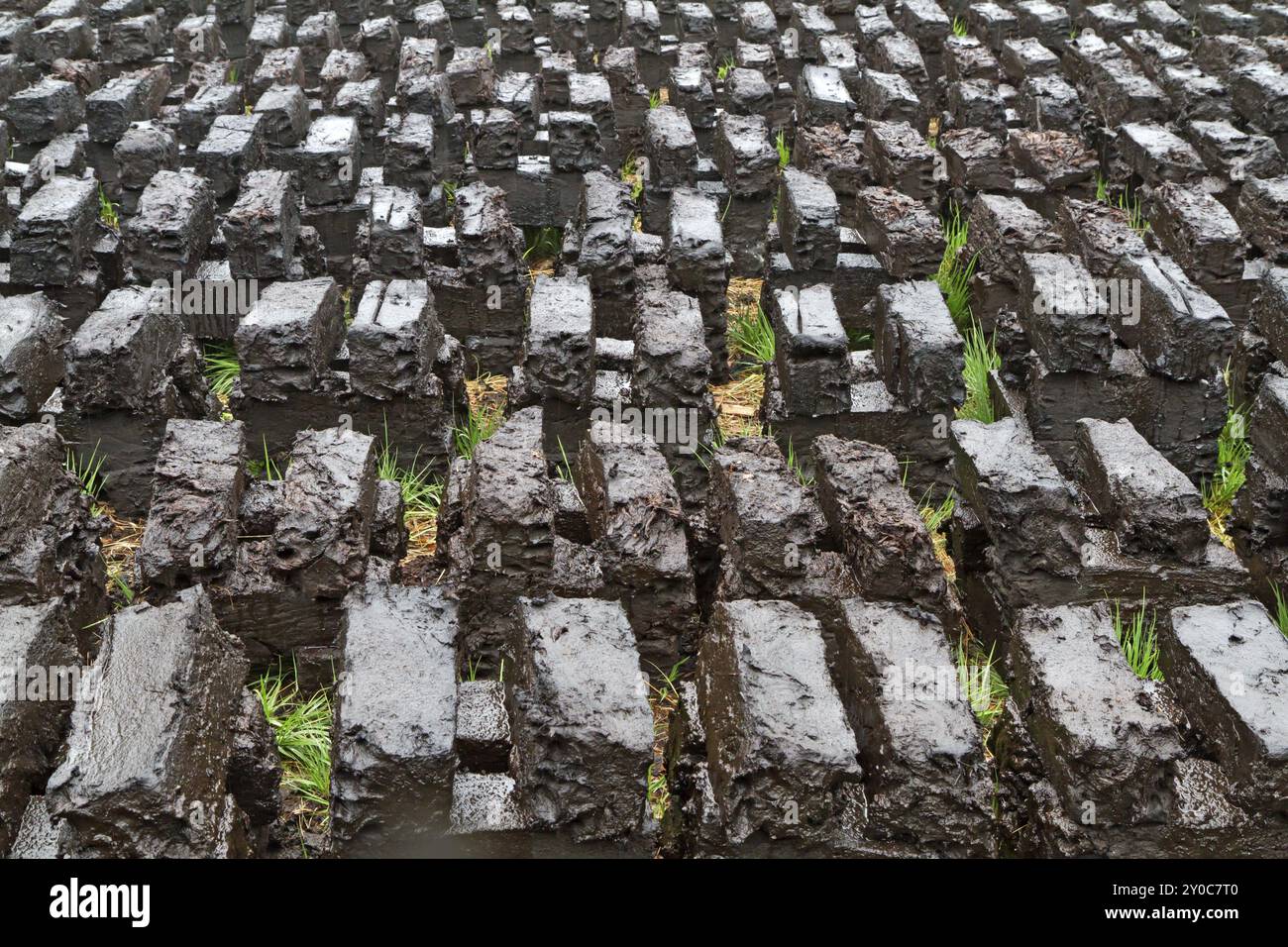 Garden peat cutting hi-res stock photography and images - Alamy