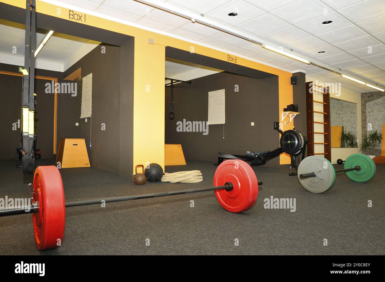 CrossFit, the new trend sport in the studio and outside CrossFit, the ...
