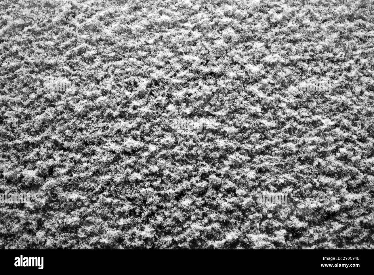 Frozen over with ice crystals Black and White Stock Photos & Images - Alamy