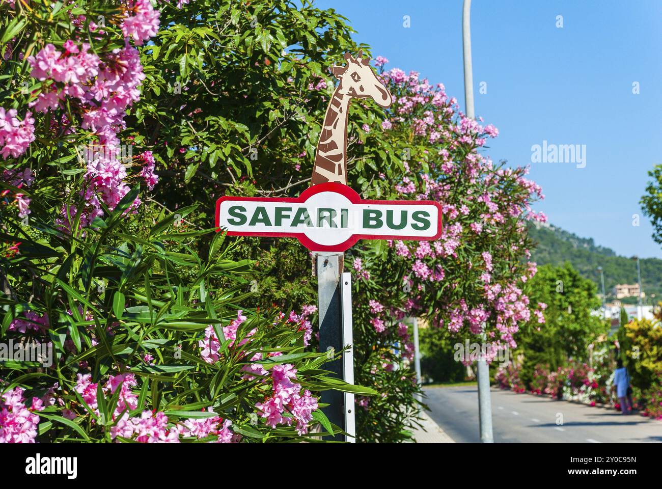 Safari Bus station sign, Sa Coma (mallorca Stock Photo - Alamy