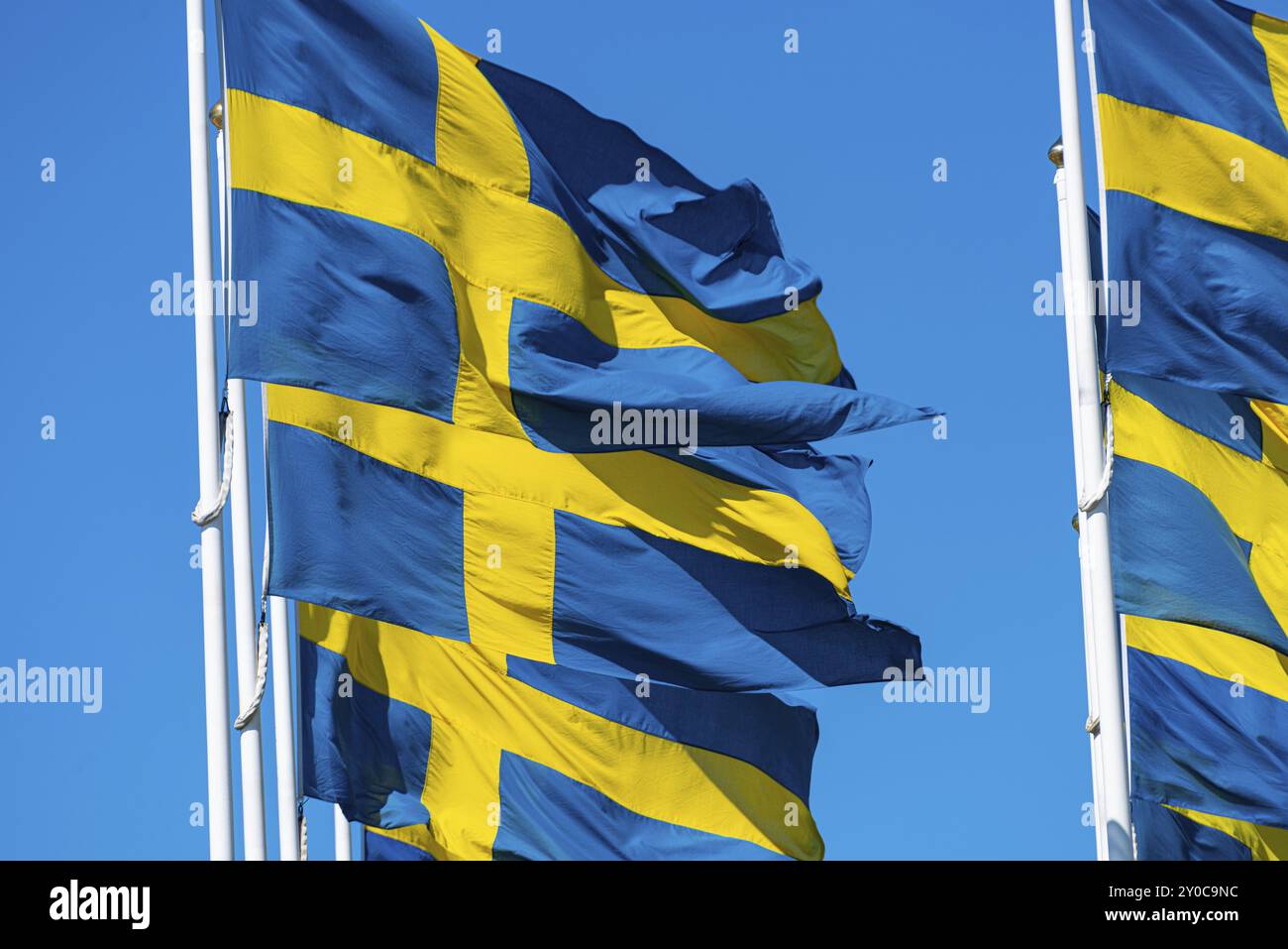 Several swedish flags flying on flagpoles Stock Photo - Alamy