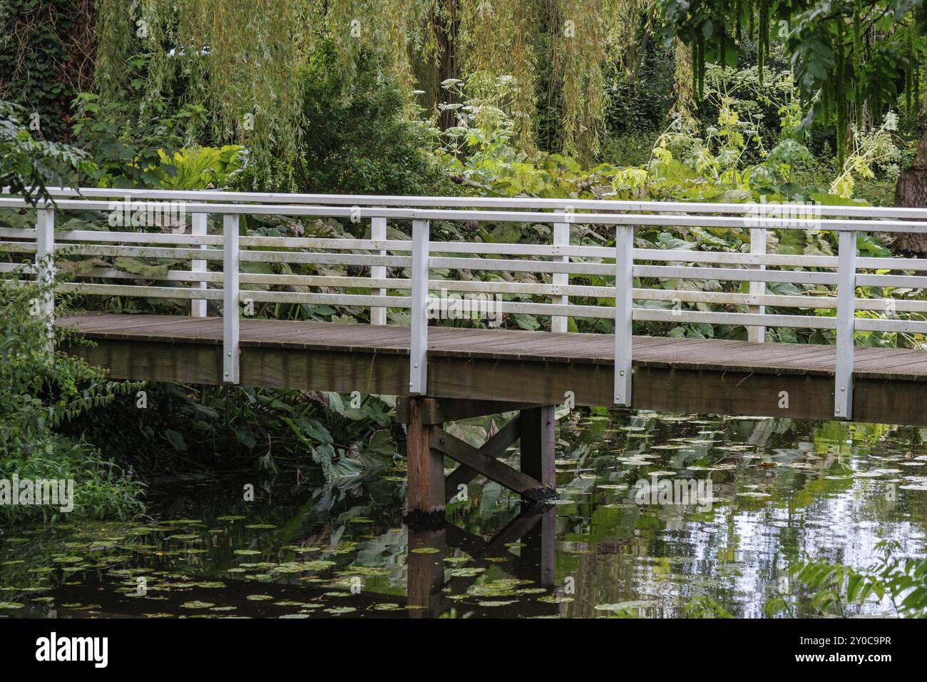 A charming wooden bridge crosses a tranquil body of water, surrounded ...