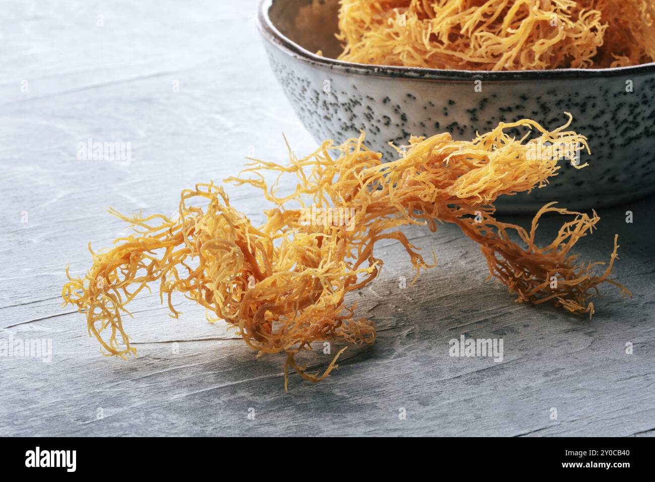 Irish sea moss, Chondrus Crispus, healthy organic raw seaweed, dried ...