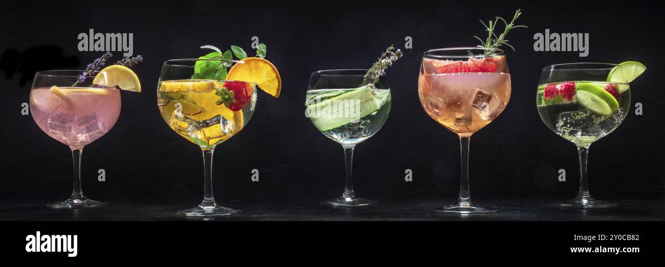 Fancy cocktails with fresh fruit panorama. Gin and tonic drinks with ...