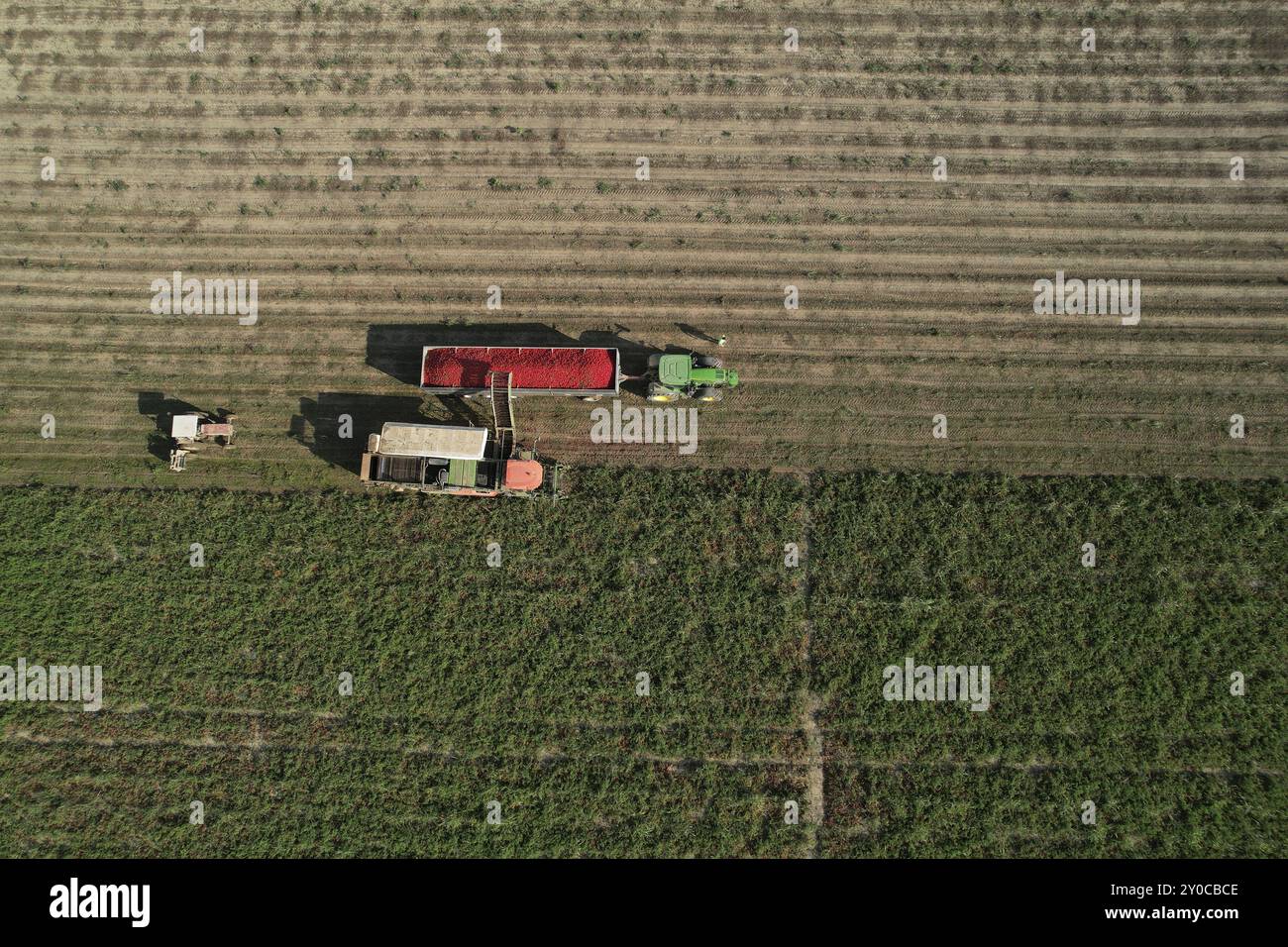 Aerial view agricultural tractors cultivating hi-res stock photography ...