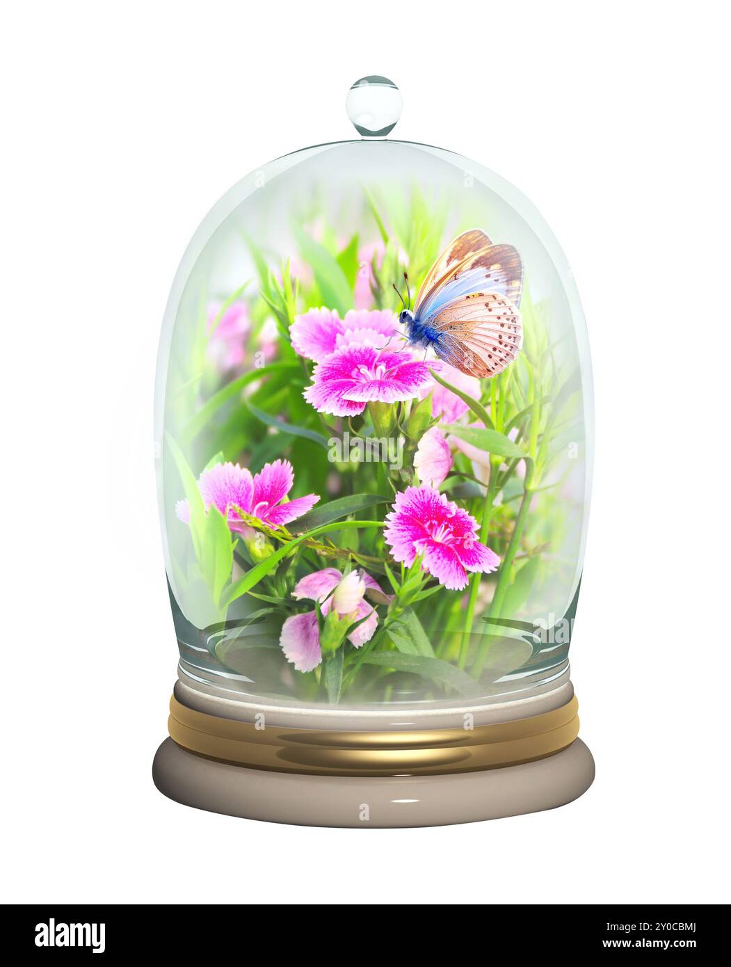 Protecting resource protection Cut Out Stock Images & Pictures - Alamy