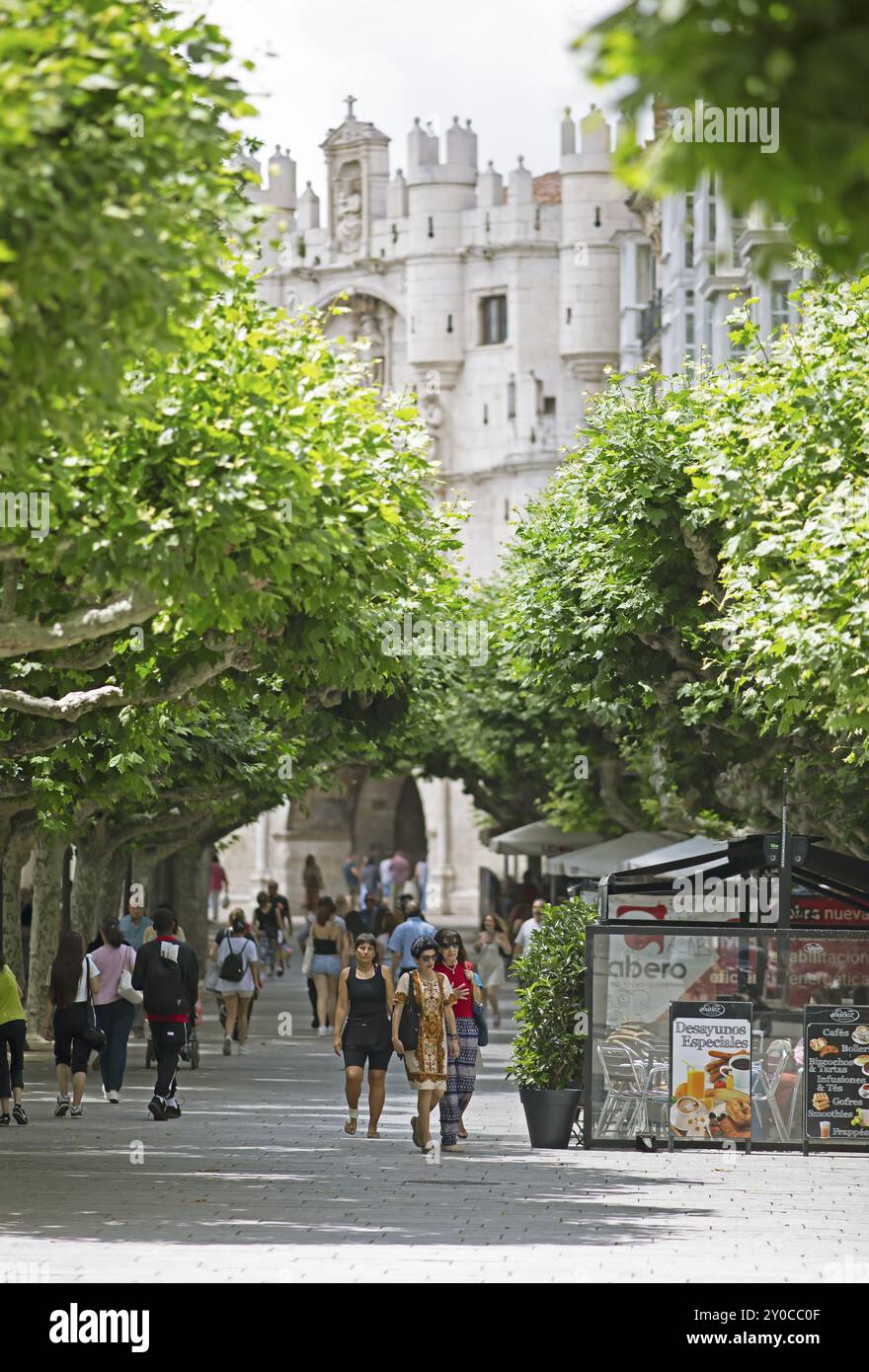 Pedestrian zone Paseo del Espolon or de Esponcillo in the historic ...