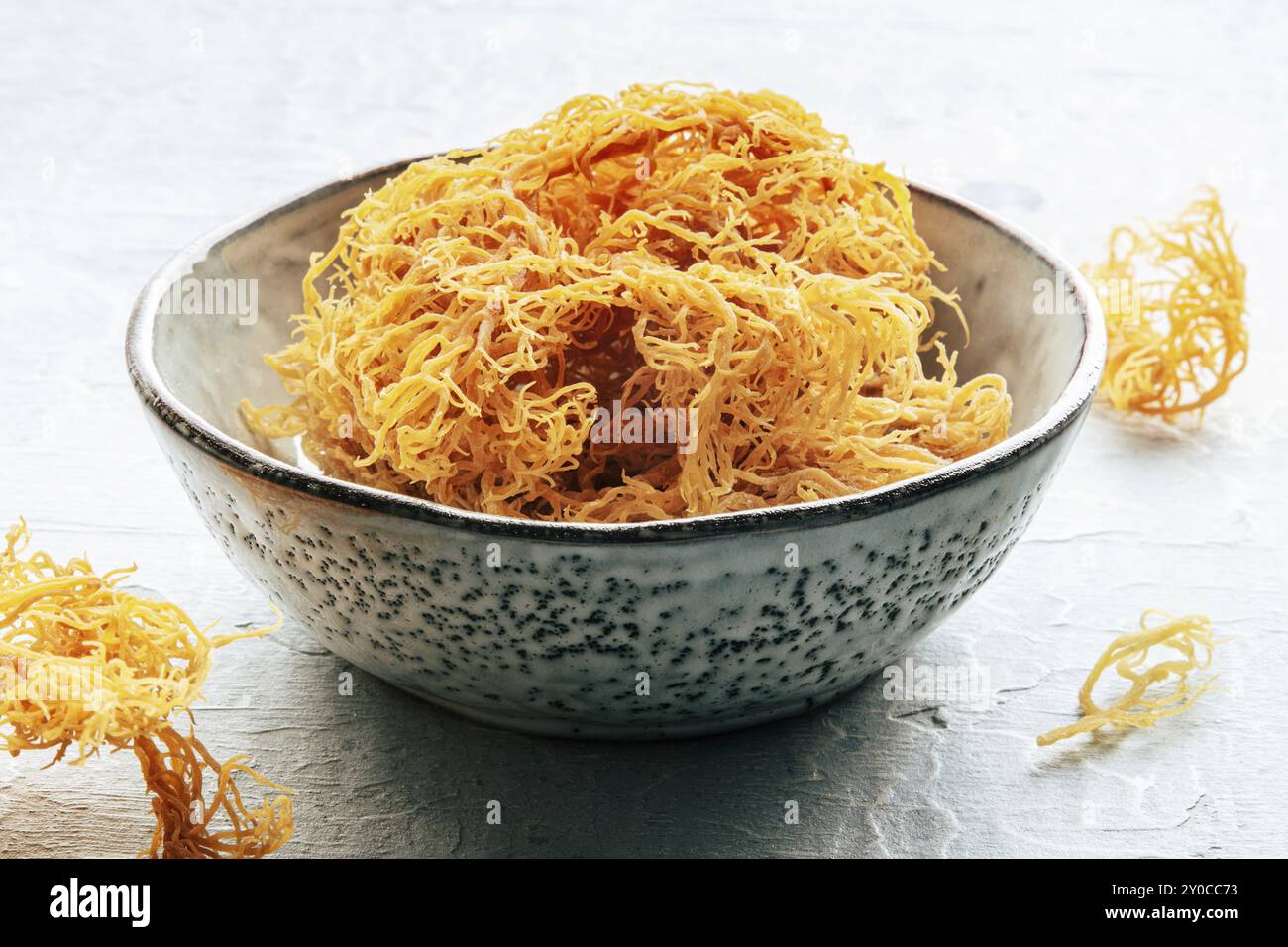 Irish sea moss, Chondrus Crispus, healthy organic raw seaweed, in a ...