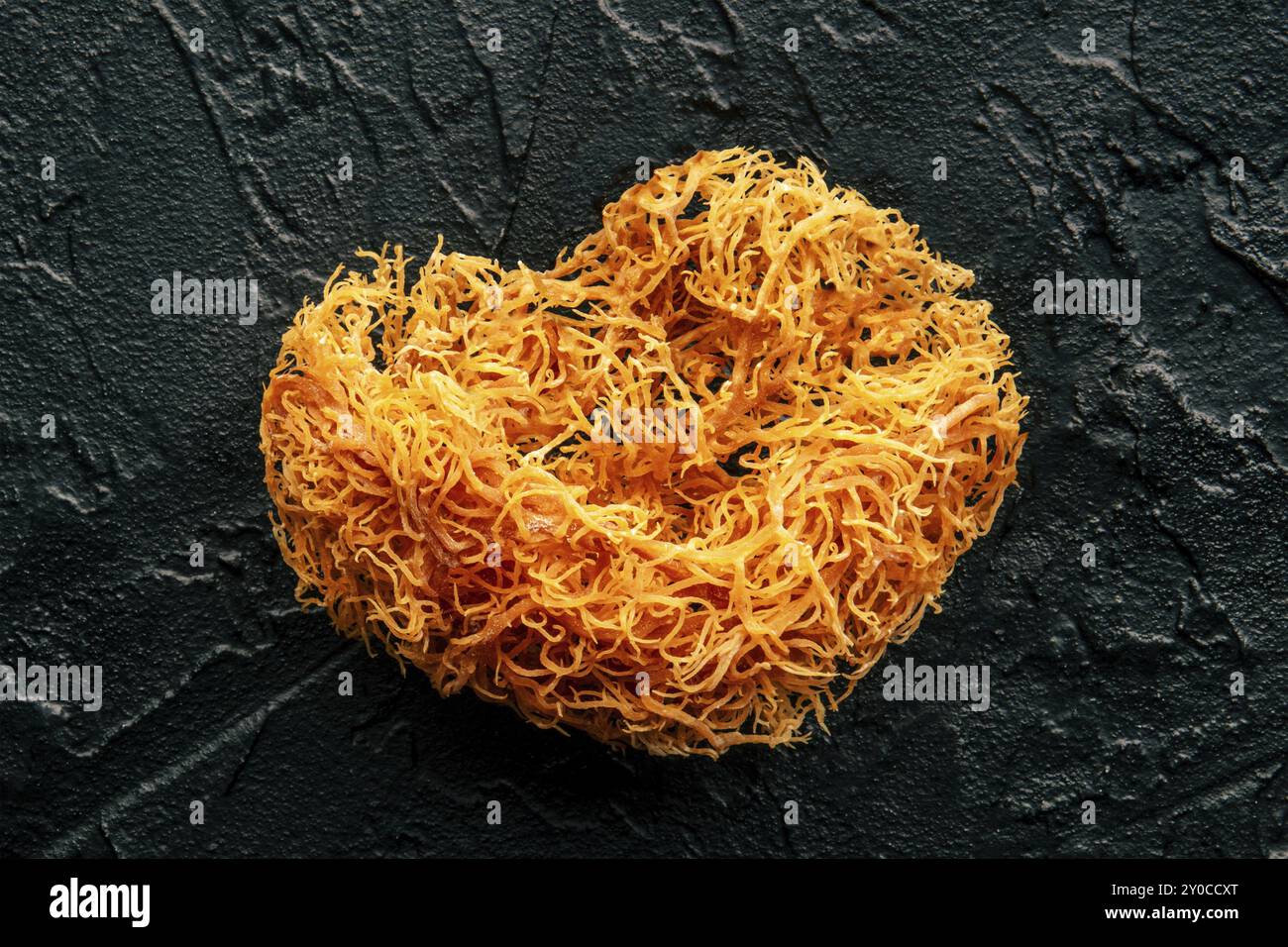 Irish sea moss, heart-shaped. Chondrus Crispus, healthy organic raw ...