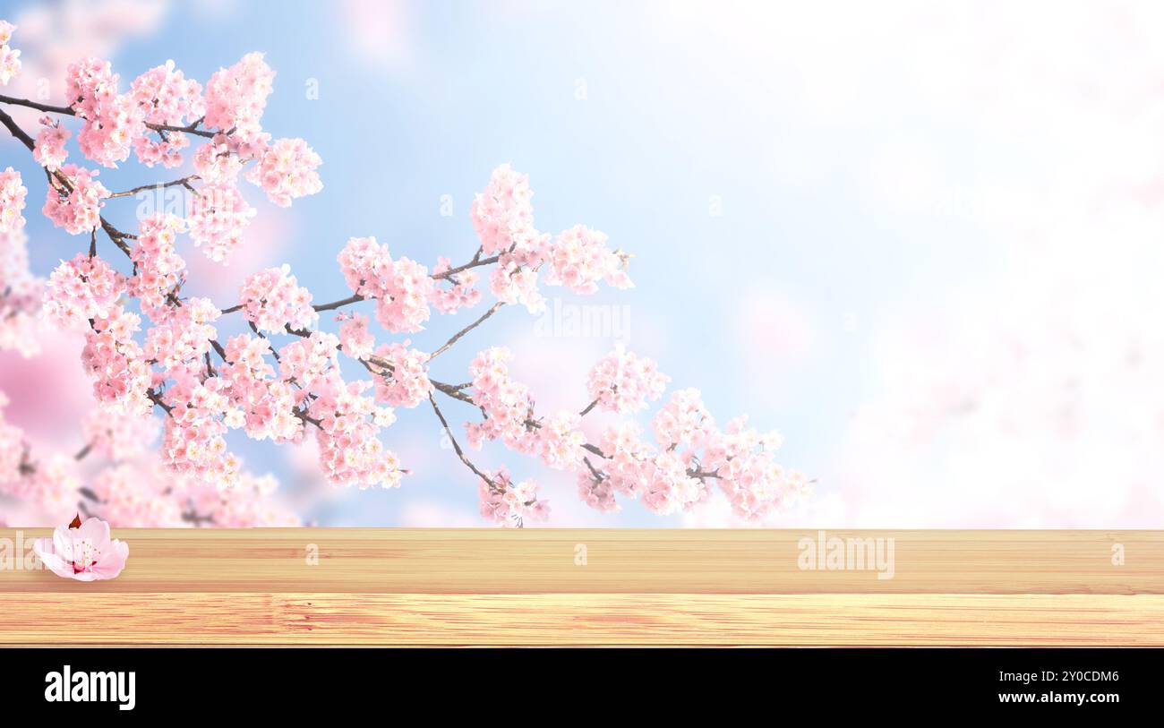 Horizontal banner with sakura flowers of pink color and wood terrace ...