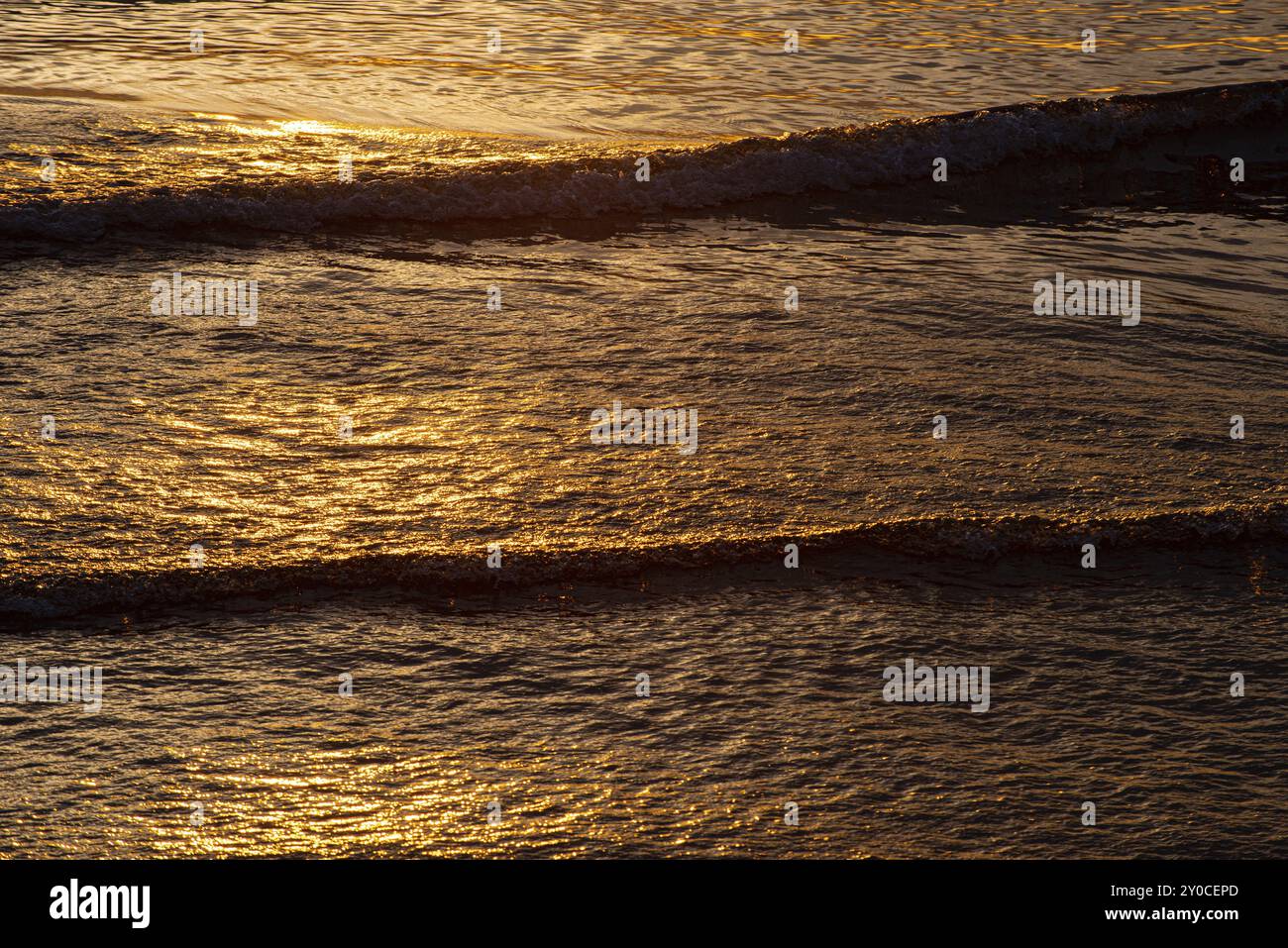 On wawes hi-res stock photography and images - Alamy