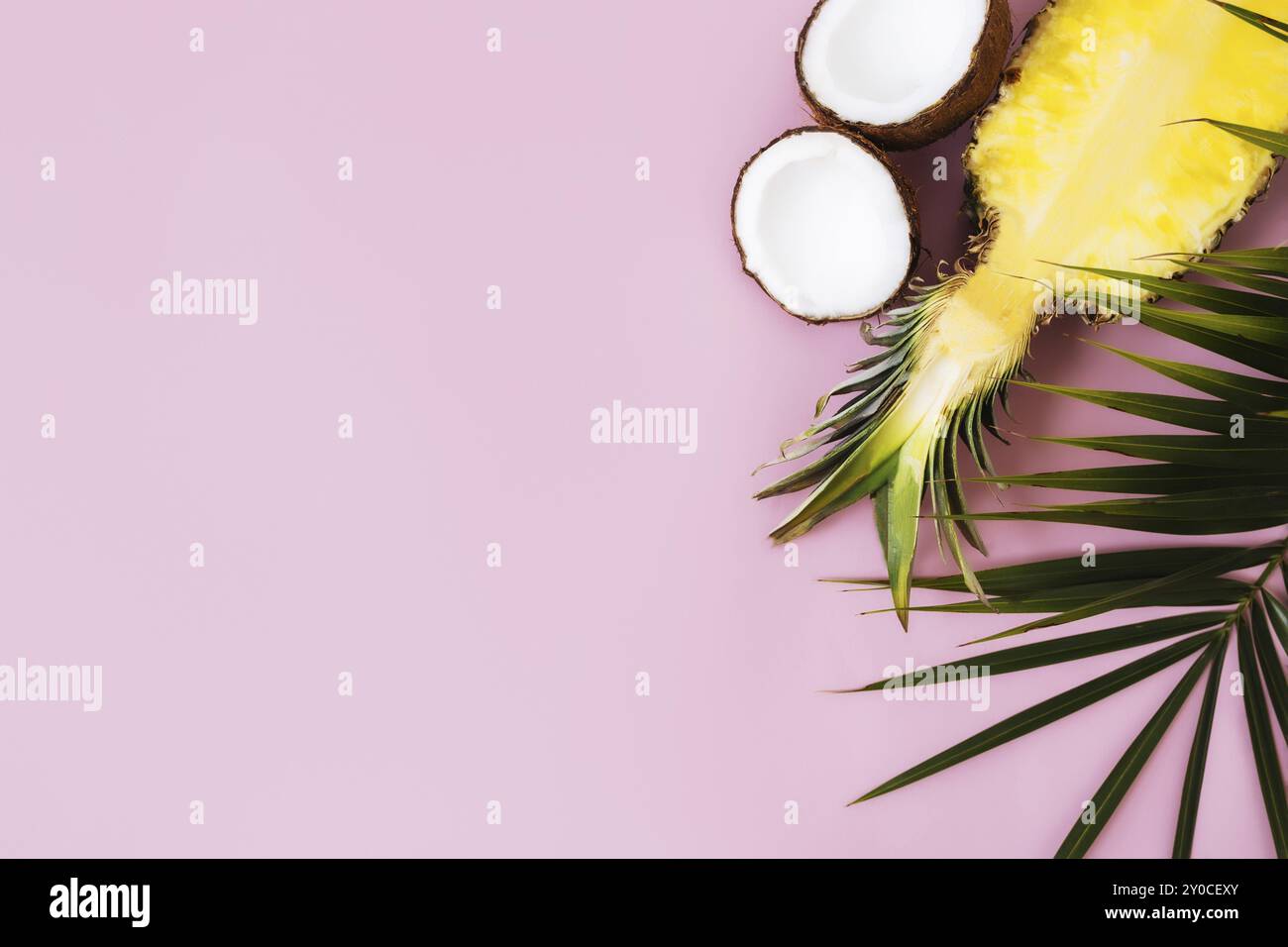 Flat lay with cut halves of fresh pineapple, coconut and green palm ...