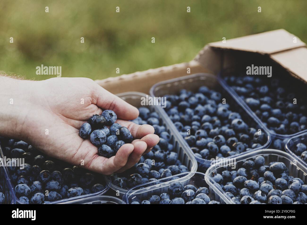 Cardboard boxes on platform hi-res stock photography and images - Alamy