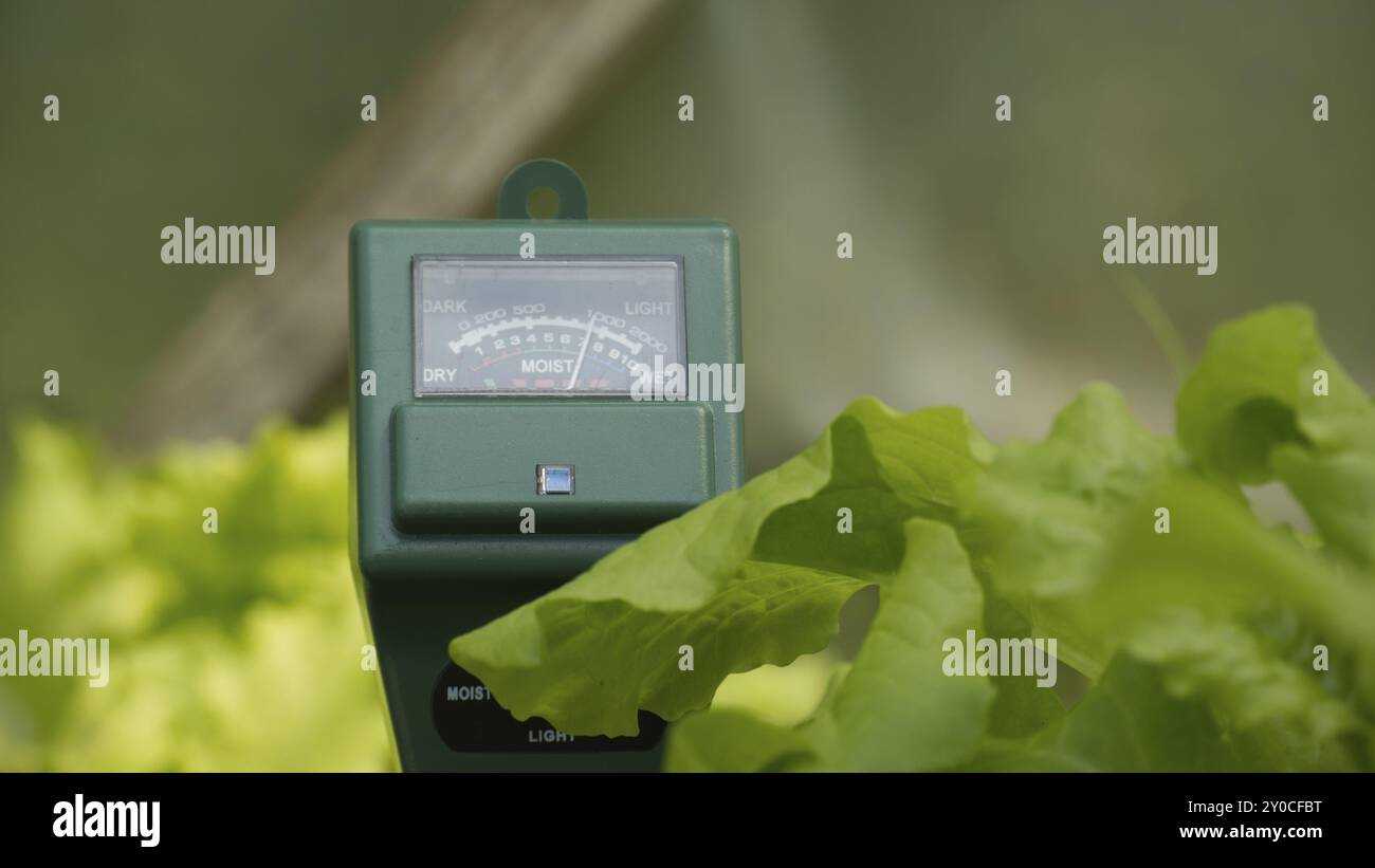 Green plants and three way meter PH, light and moisture in the soil ...
