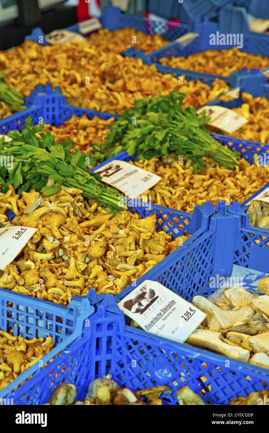 Mushroom stall hi-res stock photography and images - Alamy