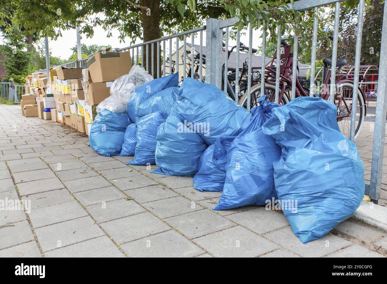 Blue garbage bags and boxes with waste are standing on dutch footpath ...