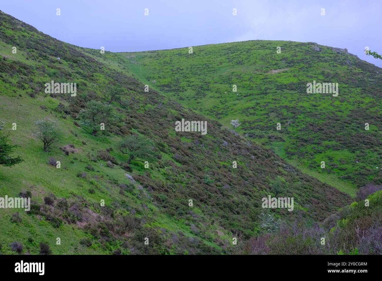 Beautiful walk in Carding Mill Valley Stock Photo - Alamy