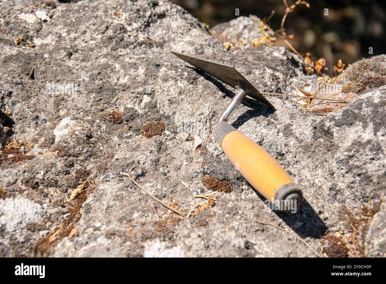 a trowel on a rock in an archaeological excavation, archeology concept ...