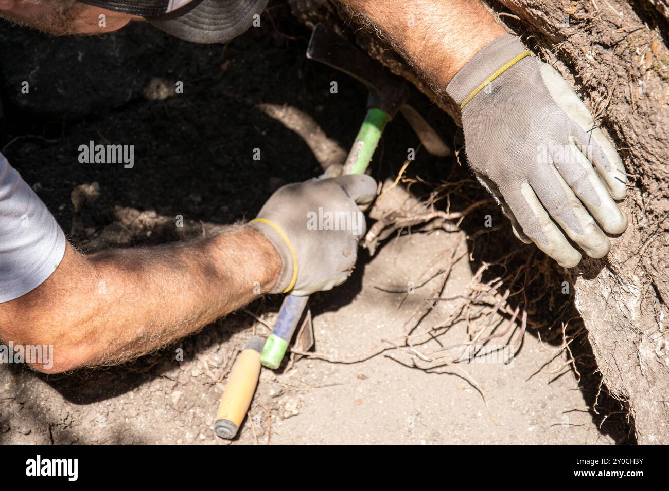 arms of an archaeologist working in an archaeological excavation in a ...