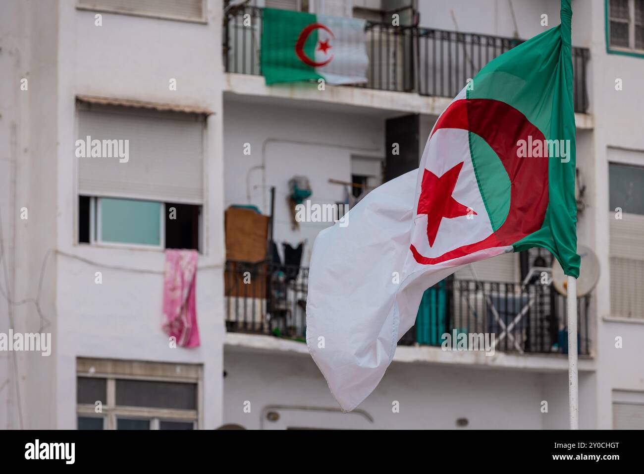 Flag of Algeria waving in a city environment, behind apartment building ...