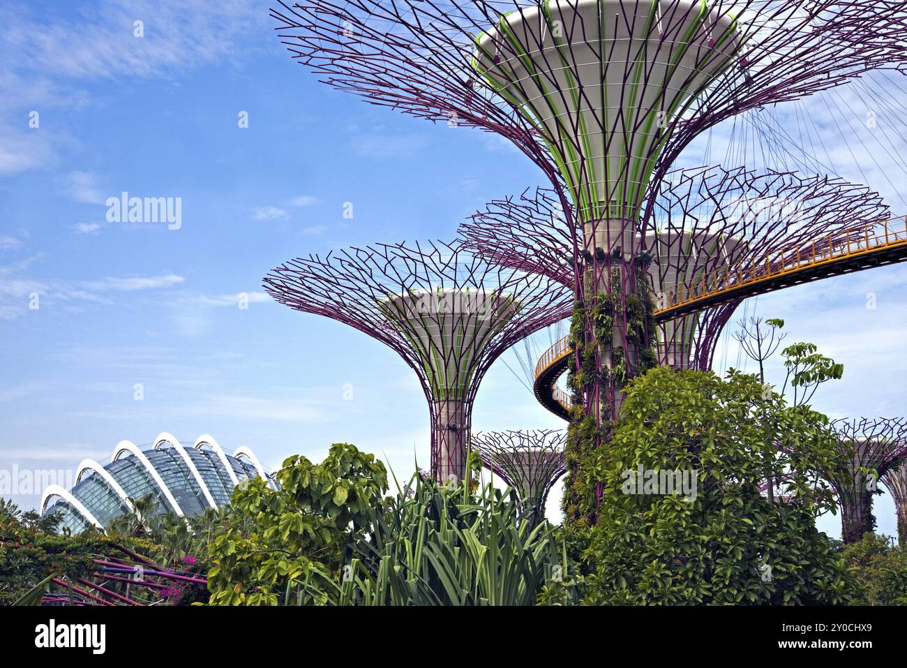 Supertrees in the famous gardens by the bay, Singapore, Asia Stock ...