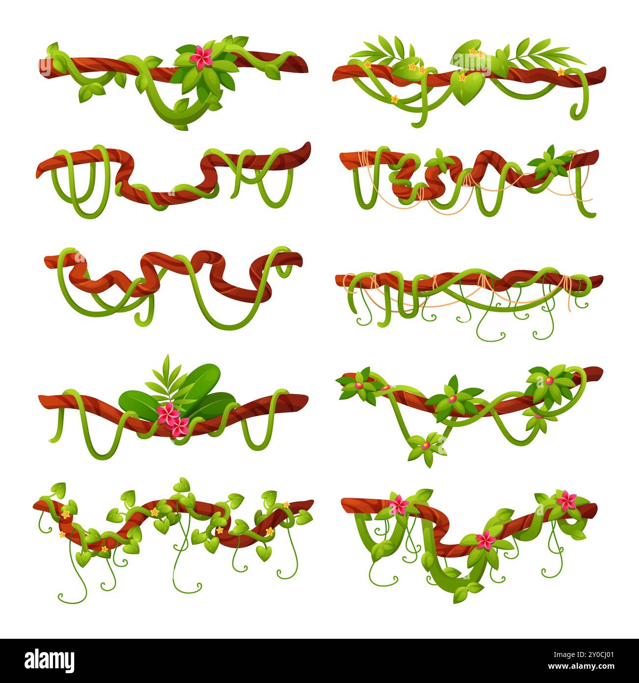 Cartoon jungle lianas. Exotic climbing plants with flowers, creepers ...