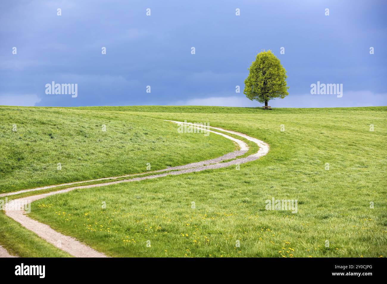 A bench in front of cloudy skies hi-res stock photography and images ...