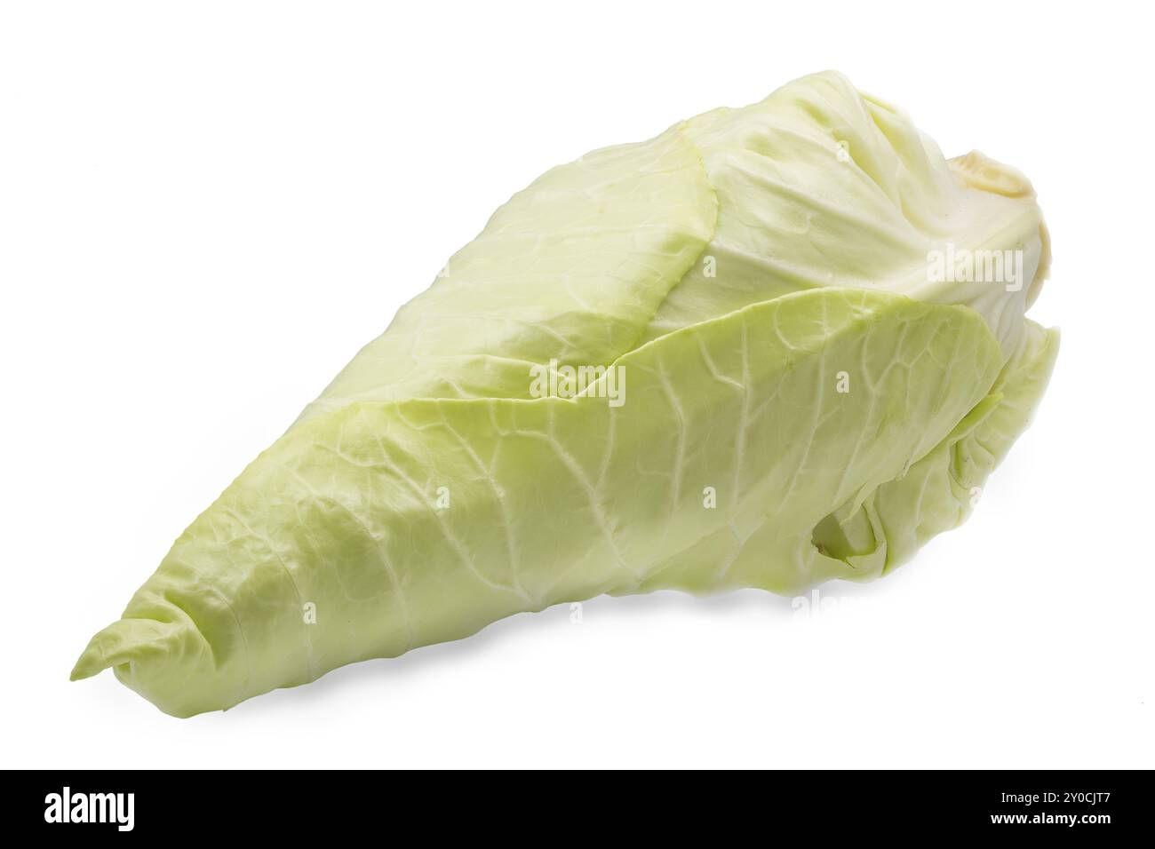 Whole pointed cabbage on a white background Stock Photo - Alamy