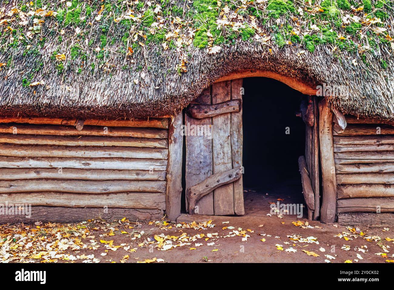 Longhouse with a thatched roof Stock Photo - Alamy