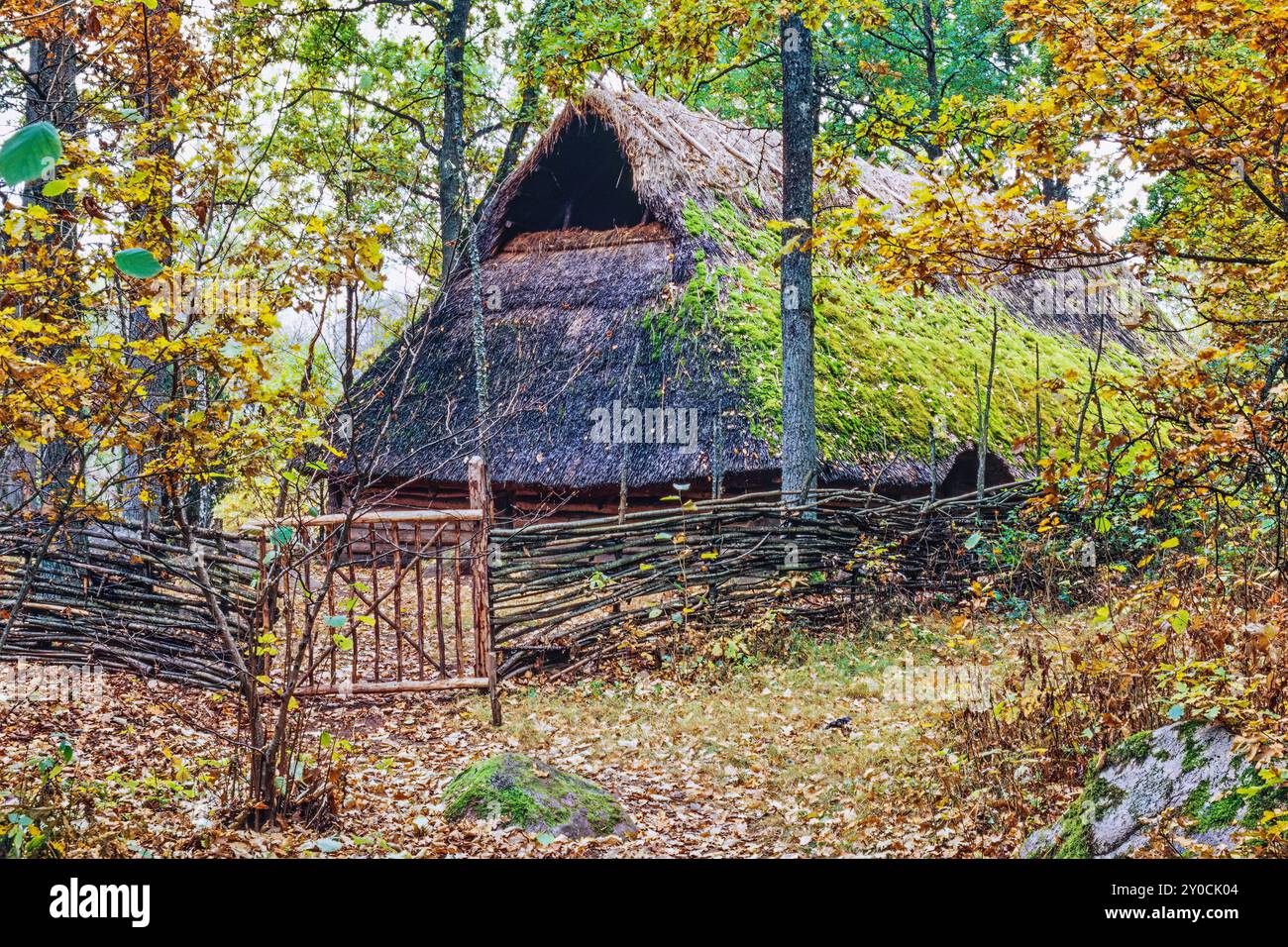 Longhouse in a forest at autumn with a gate and fence Stock Photo - Alamy