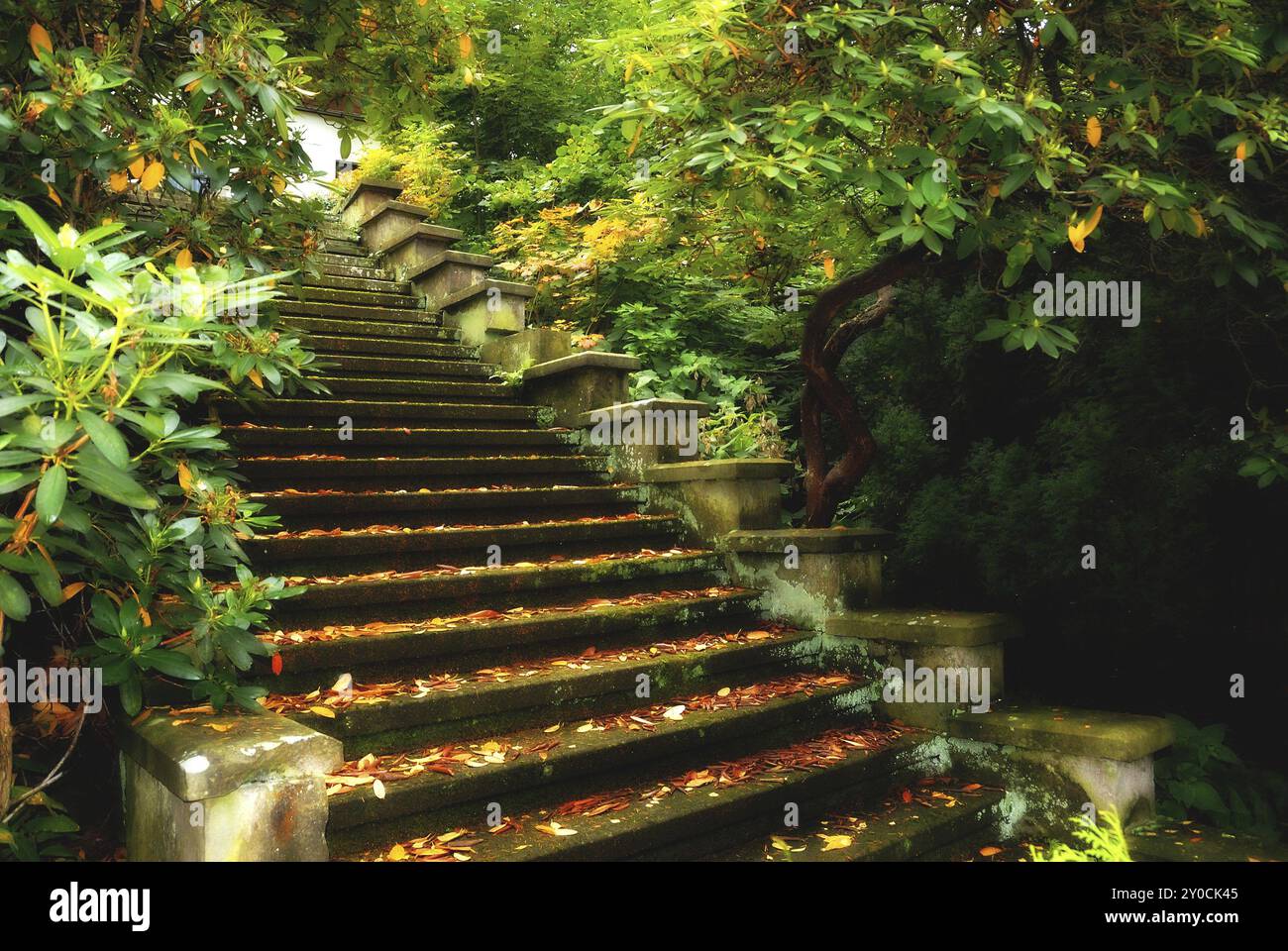 Stone stairs in the park, in autumn Stone stairs in the park, in the ...