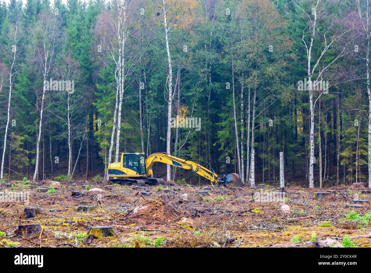 Excavator on a clearcut digging a ditch Stock Photo - Alamy