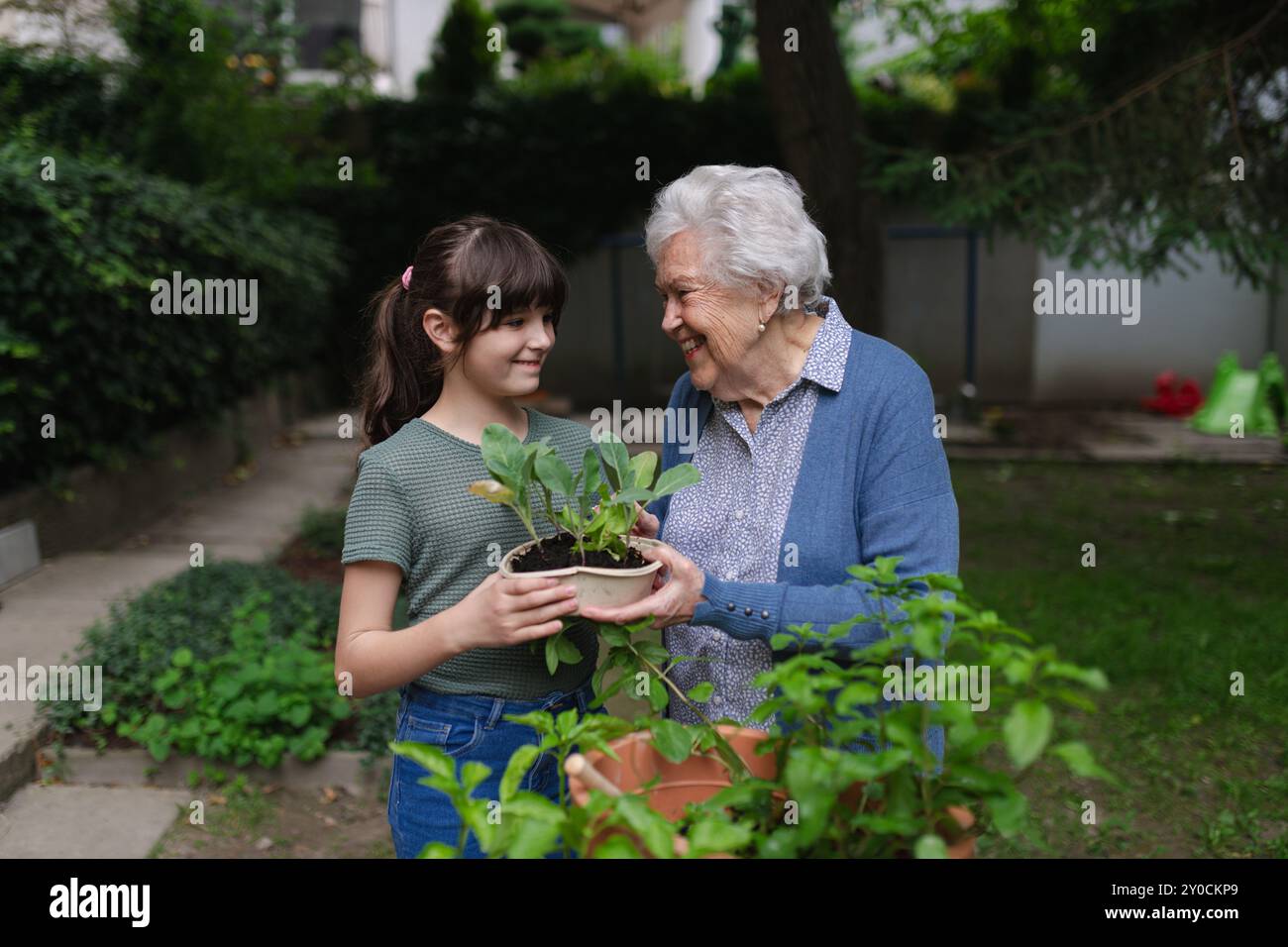 Grandmother teaching granddaughter to work in garden. Girl helping ...