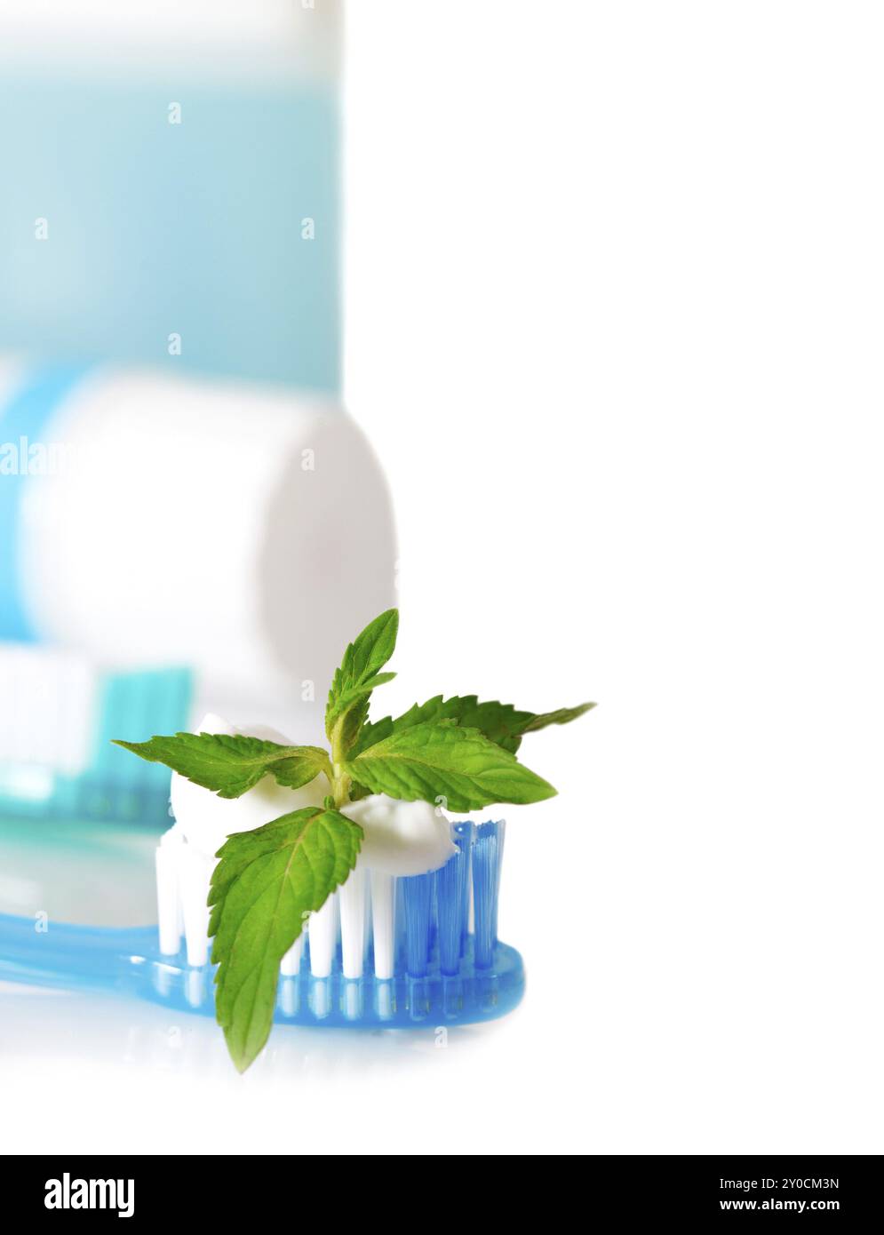 Tooth brushes with mint, tooth paste and dental floss isolated on white ...