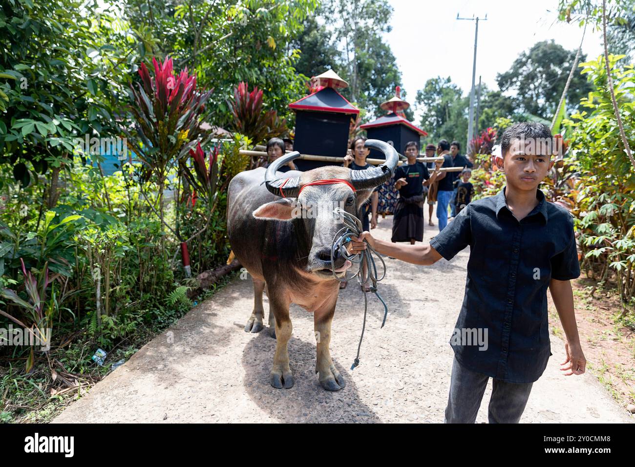 Scenes from traditional tana toraja funeral ceremony, people dancing ...
