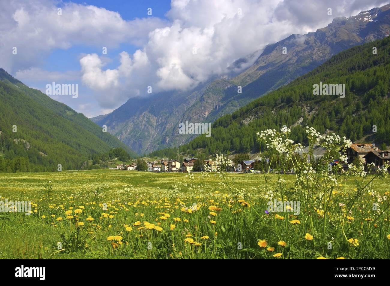 Cog 01 hi-res stock photography and images - Alamy