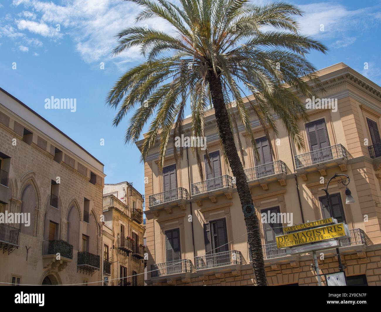 Historic buildings with balconies and palm trees, sunny urban ...