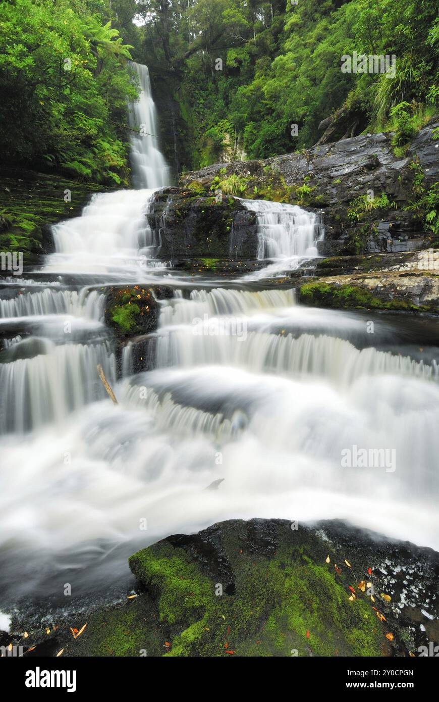 Mac Lean Falls, Catlins Forest Park, Otago, South Island New Zealand ...