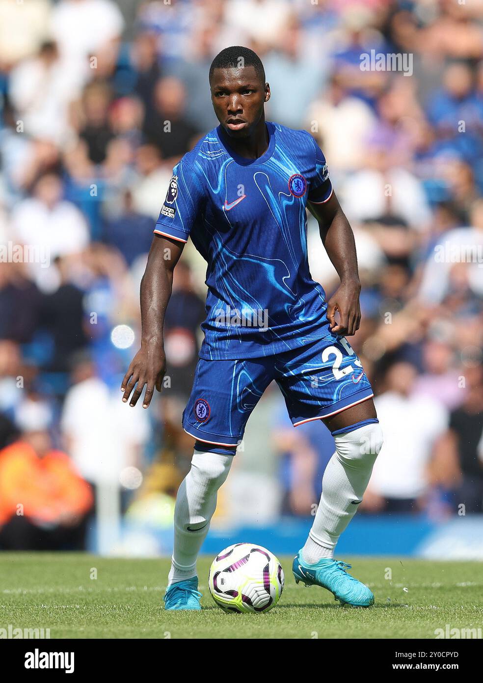 Soccer moises caicedo 2024 hi-res stock photography and images - Alamy