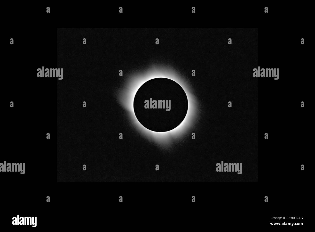 Total business Black and White Stock Photos & Images - Alamy