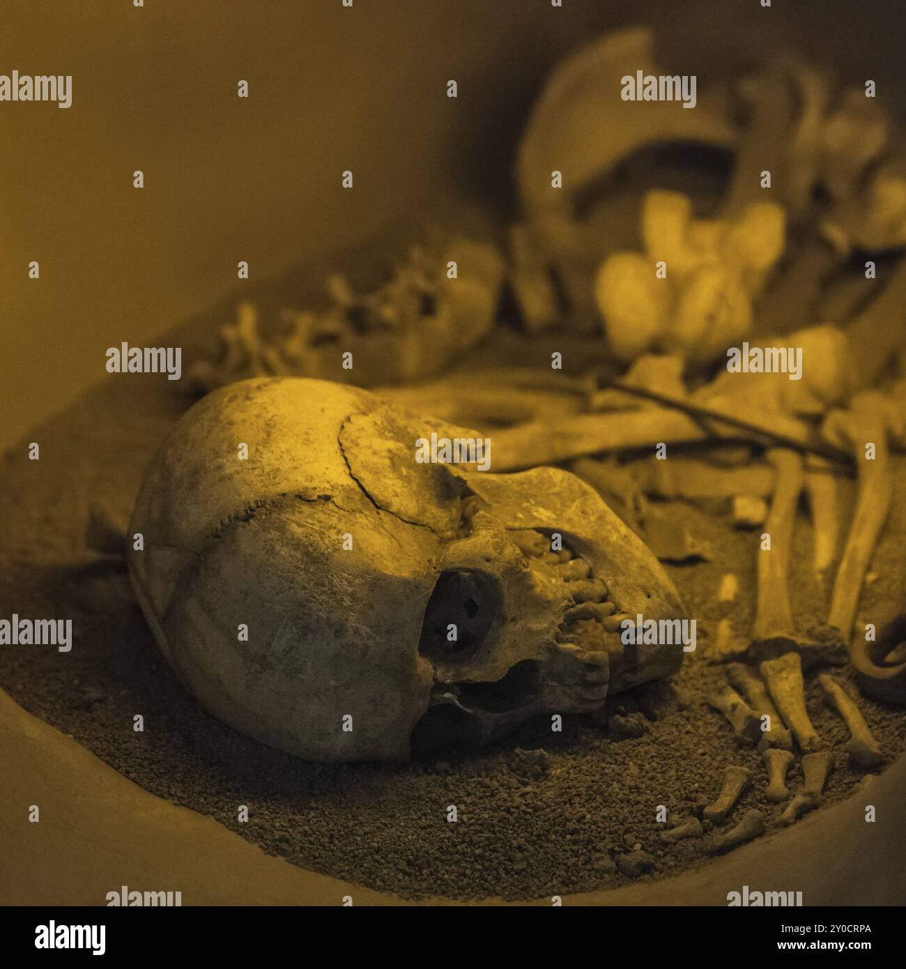 Death human being skull hi-res stock photography and images - Alamy