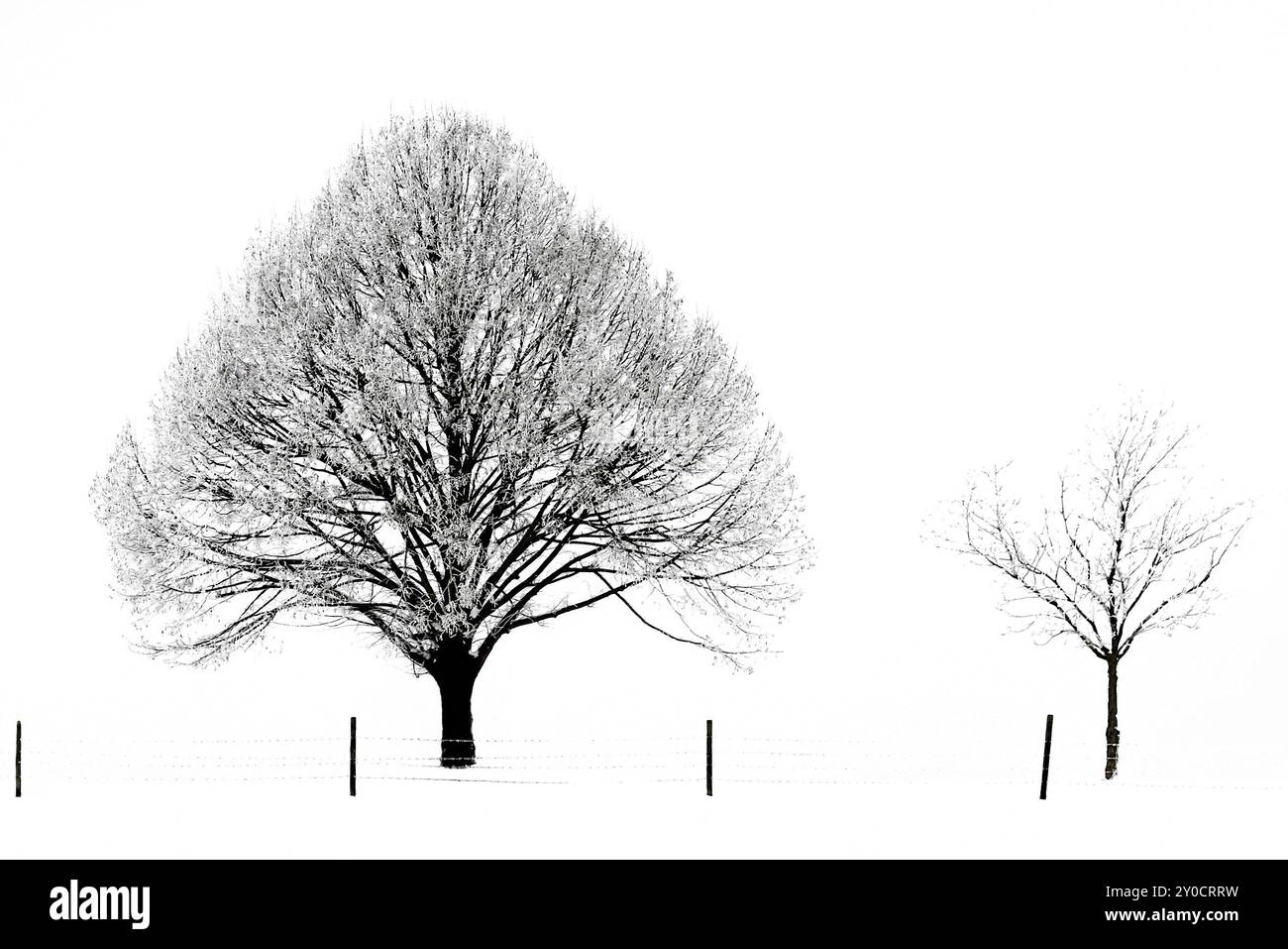 Snowy mood Cut Out Stock Images & Pictures - Alamy