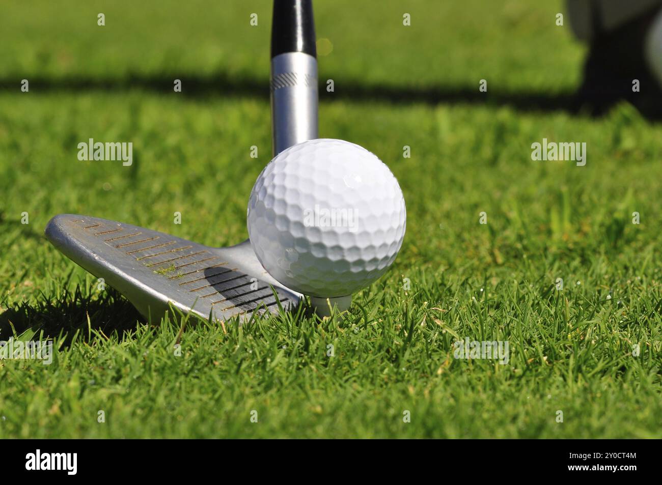 Golf ball and driver, ready to strike, on a real golf course Stock ...